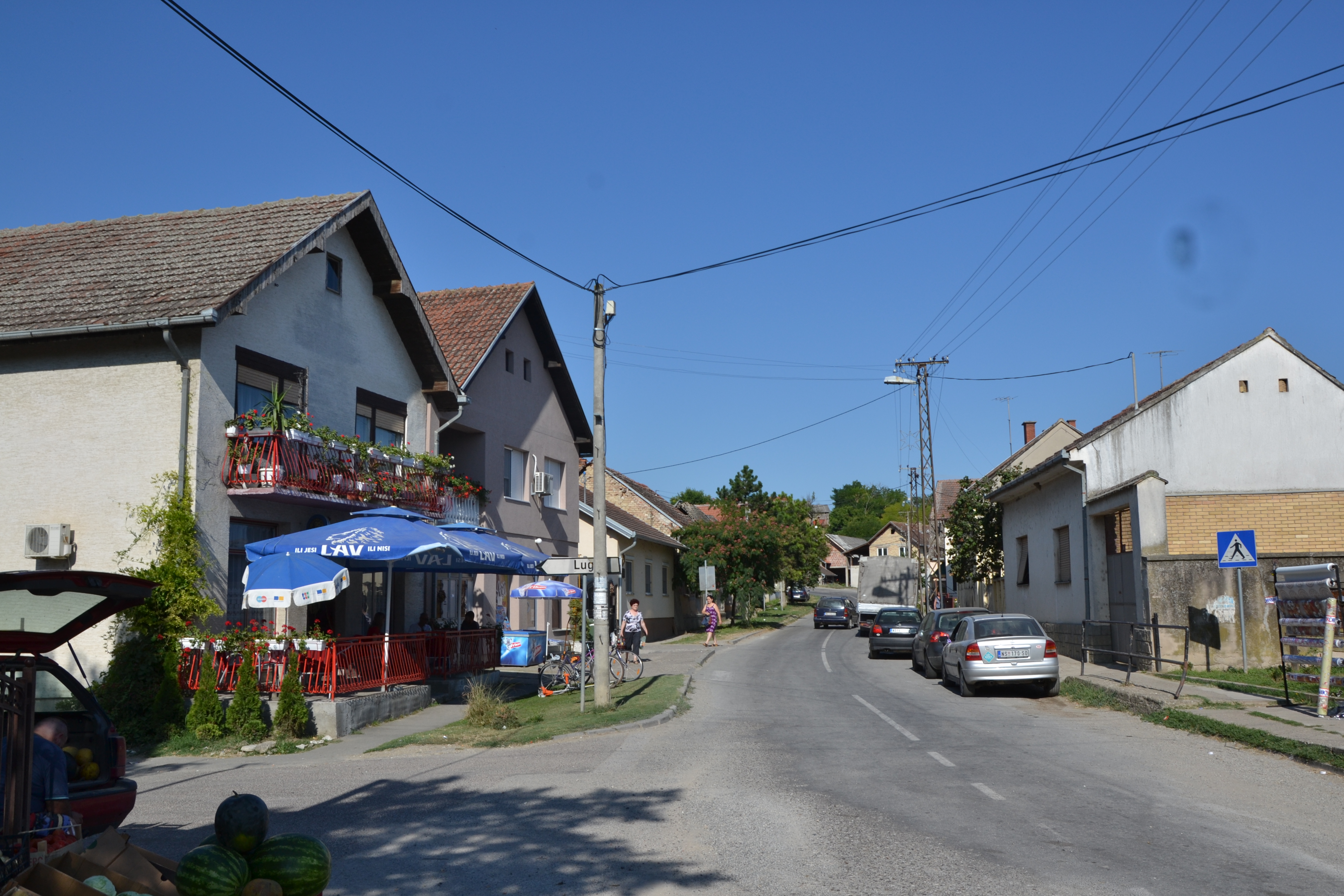SUSEK - IZMEĐU SREMA I BAČKE - Sremske Novine