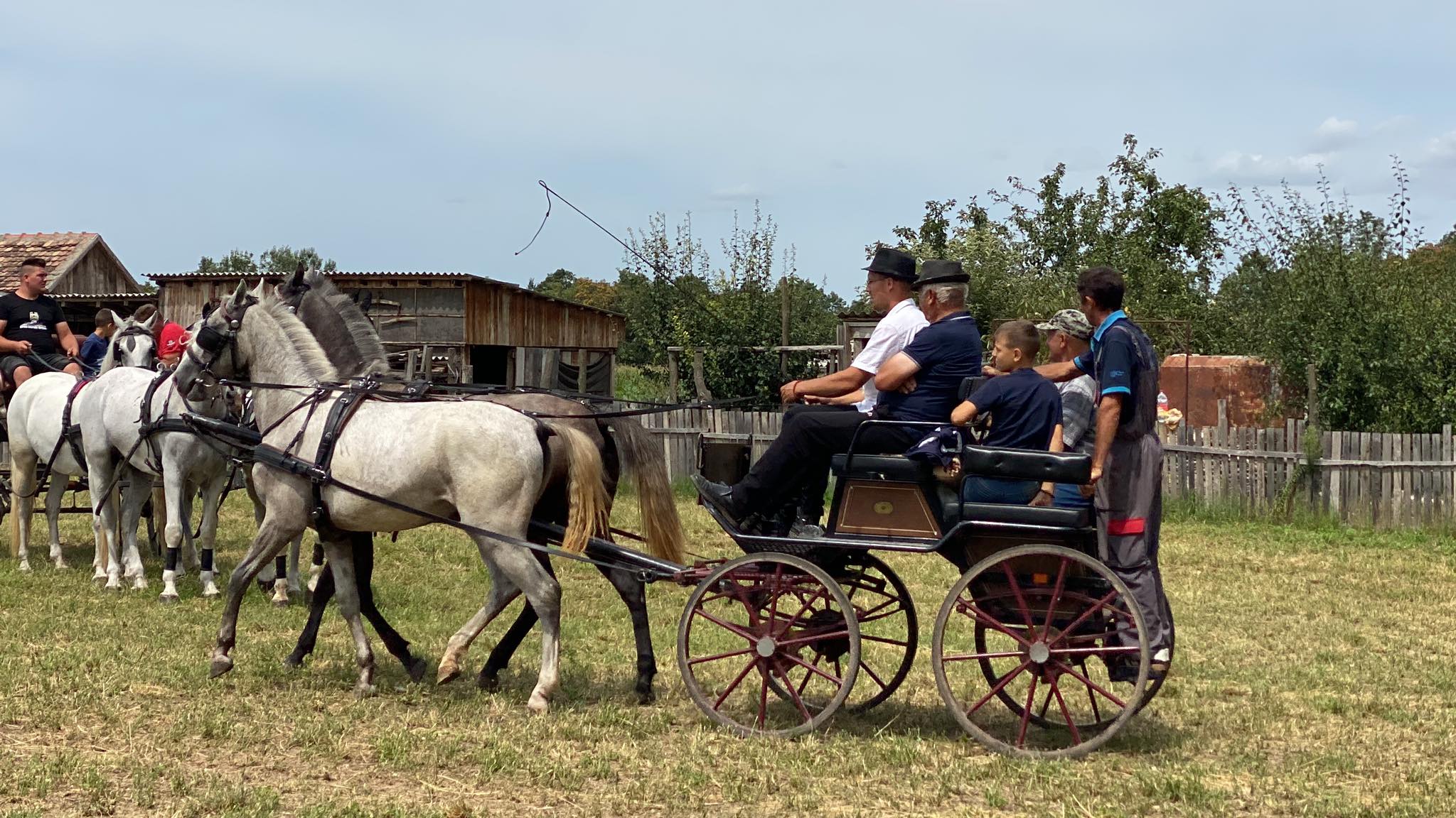 Igrali se konji vrani (FOTO, VIDEO) - Sremske Novine