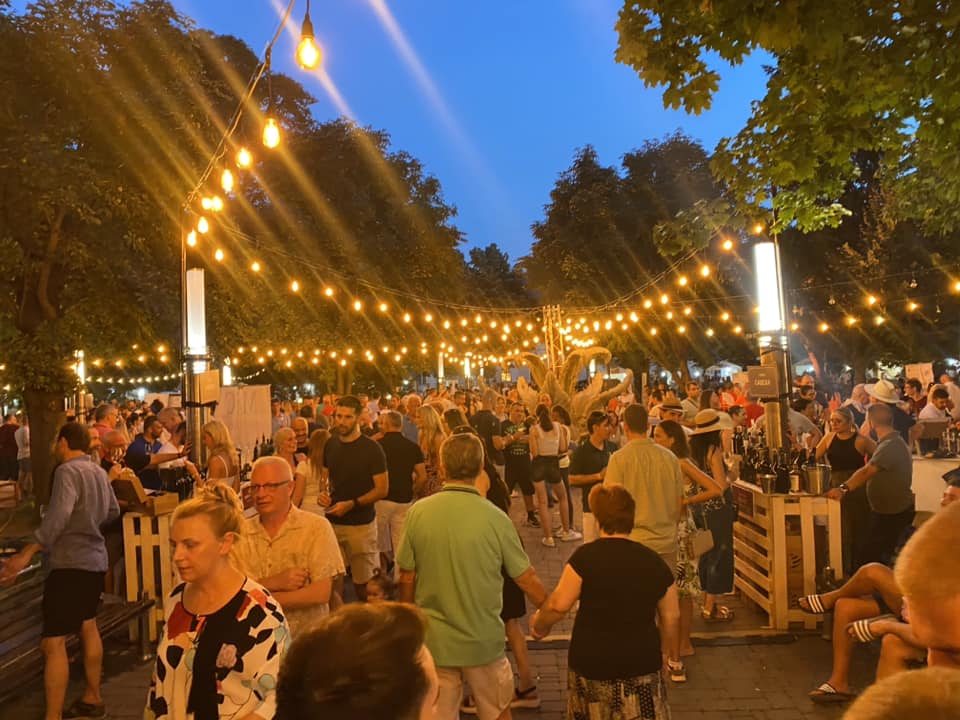 Održan šesti gastro vinski festival „Vinski park“: “Duša bez vina ...