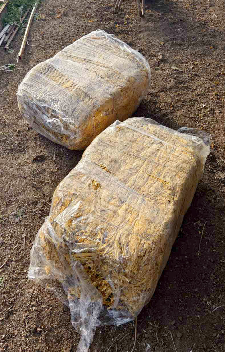 Zaplenjen duvan u vrednosti oko 12 miliona dinara - Sremske Novine